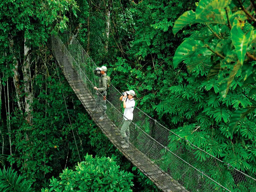 Canopy Walk Bridge | Green House Tambopata